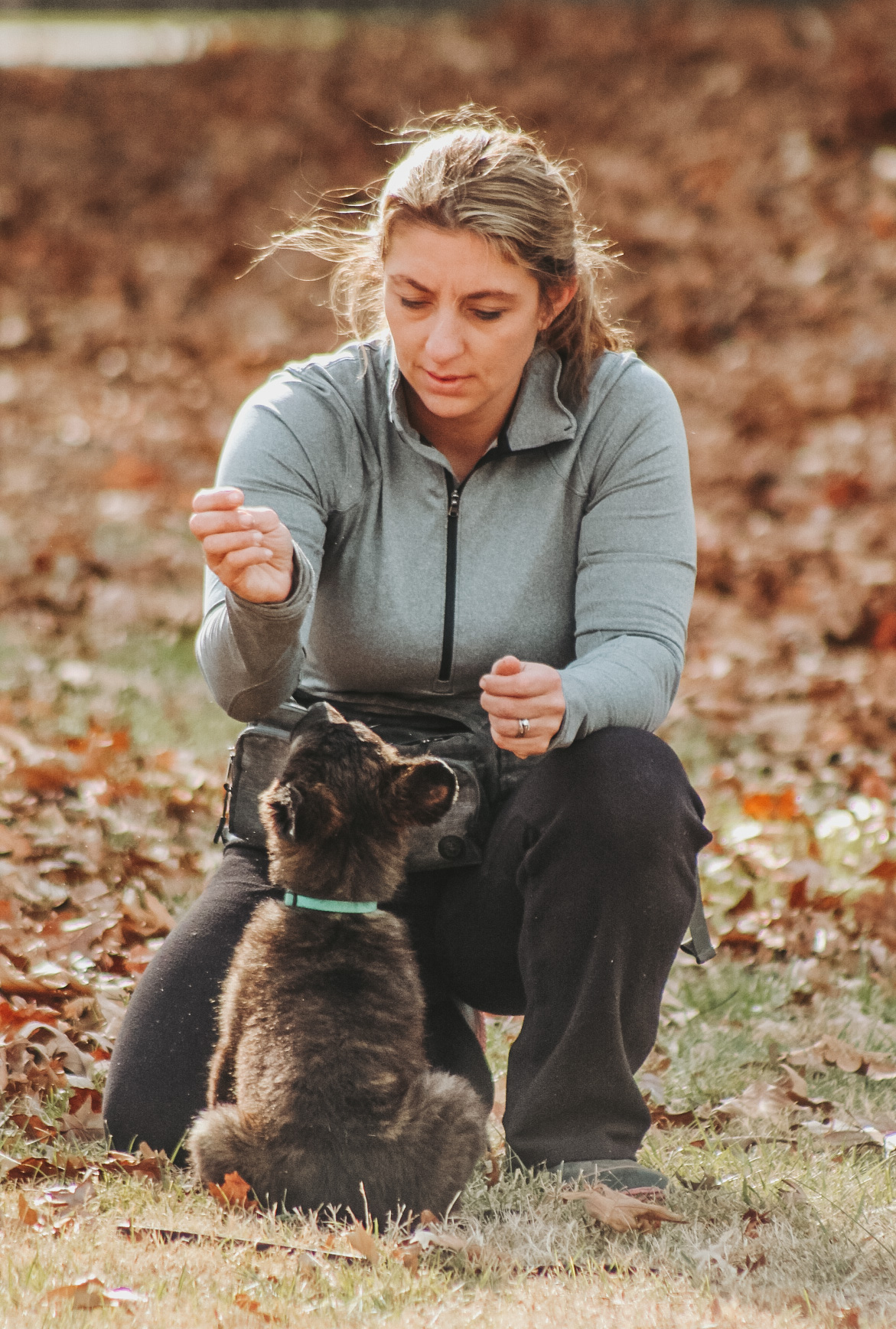 Puppy Jump Start Training